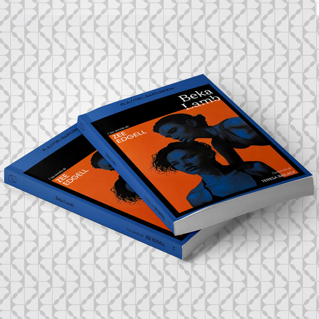 Plasson e Bartleboom